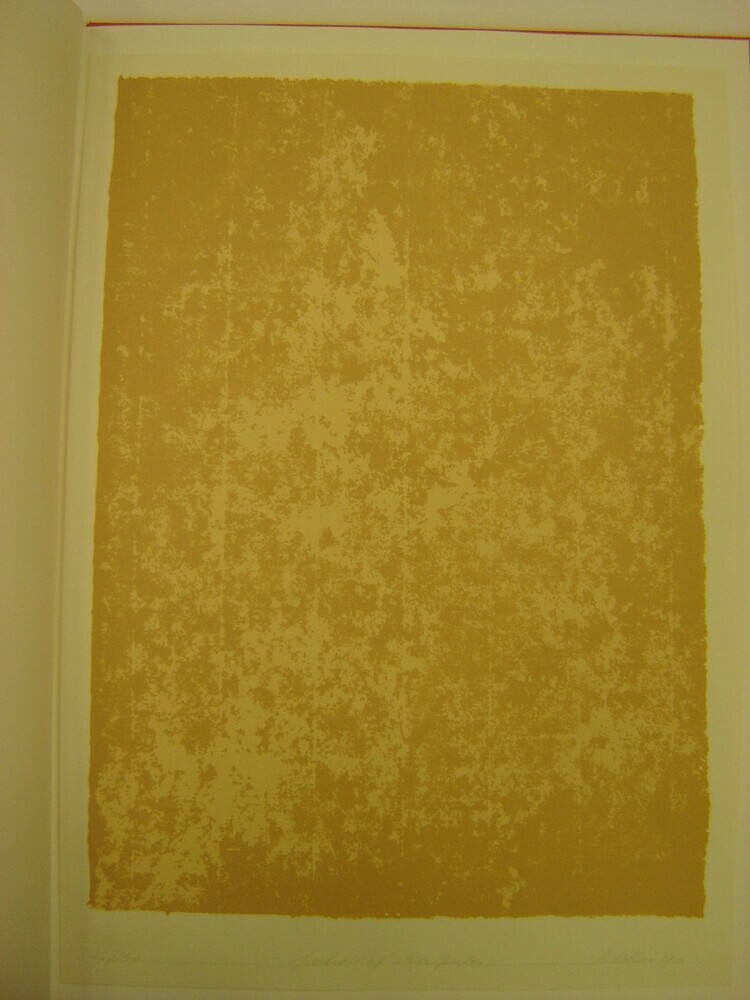 31315Exv - Portrait of a rib paper - Sainsbury Centre