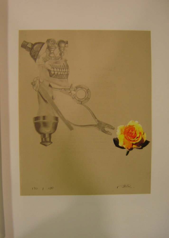 31315Avi - '...from day to day we ripe and ripe, and then from day to ...