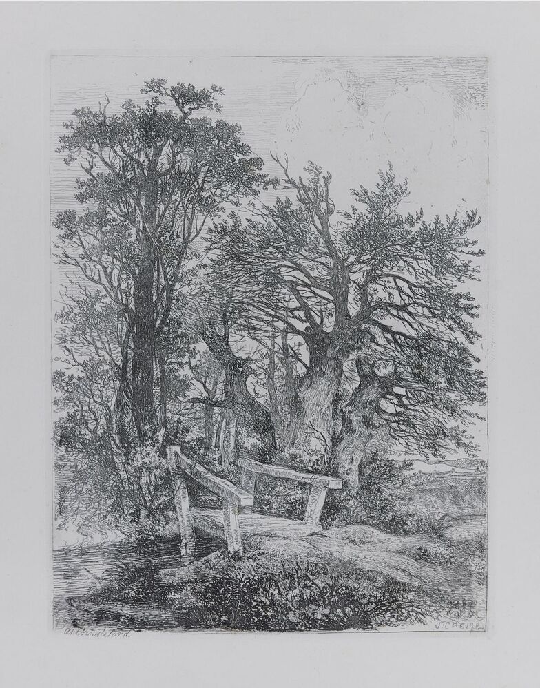 50810 - At Cringleford - Sainsbury Centre